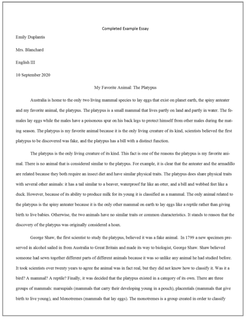 How to Write an Informative Five Paragraph Essay - Terrebonne Parish ...